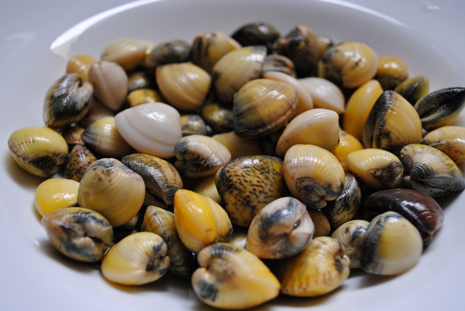 magnitudes do mundo: FRUTOS DO MAR