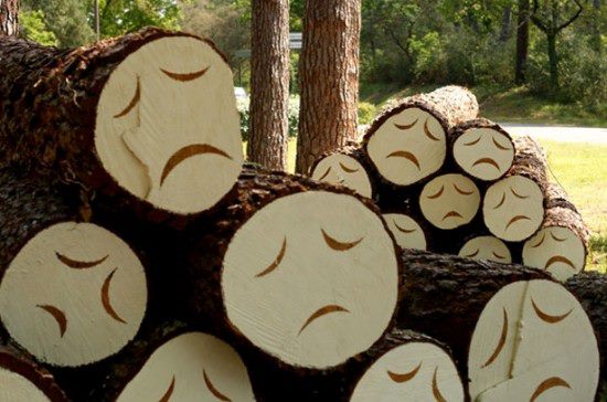 COOGLED: DON'T HURT TREES