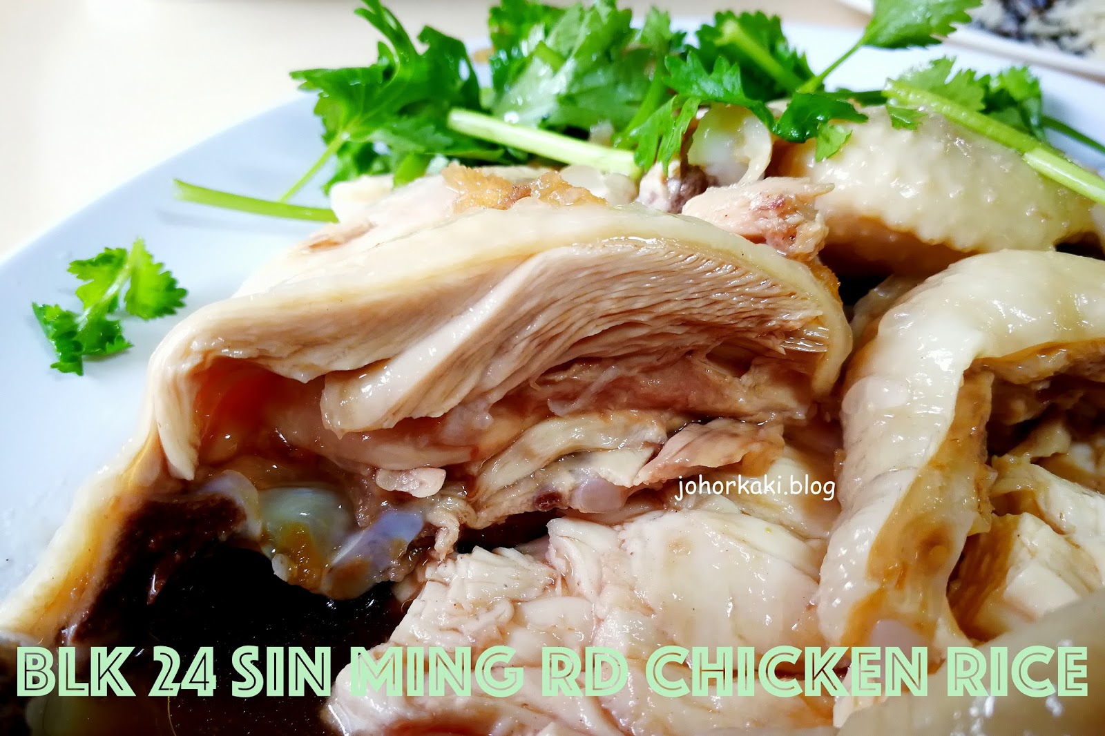 Sin Ming Road Chicken Rice @ 151 Bishan 新明路鸡饭 |Tony Johor Kaki Travels ...