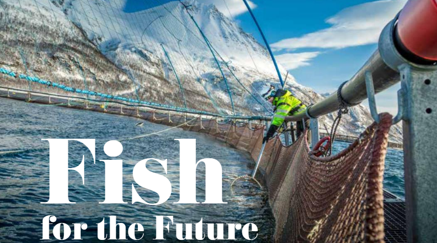 The Aquaculturists: Fish for the Future