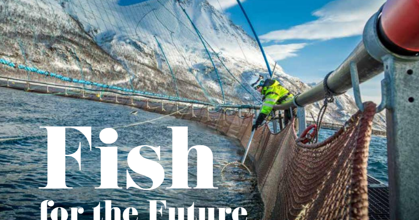 The Aquaculturists: Fish for the Future