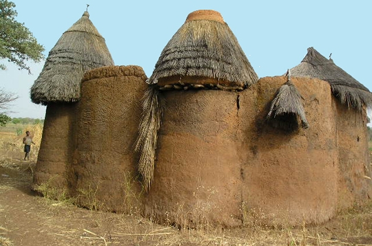 Benin Country Focus - The Lion King - Blog Edition