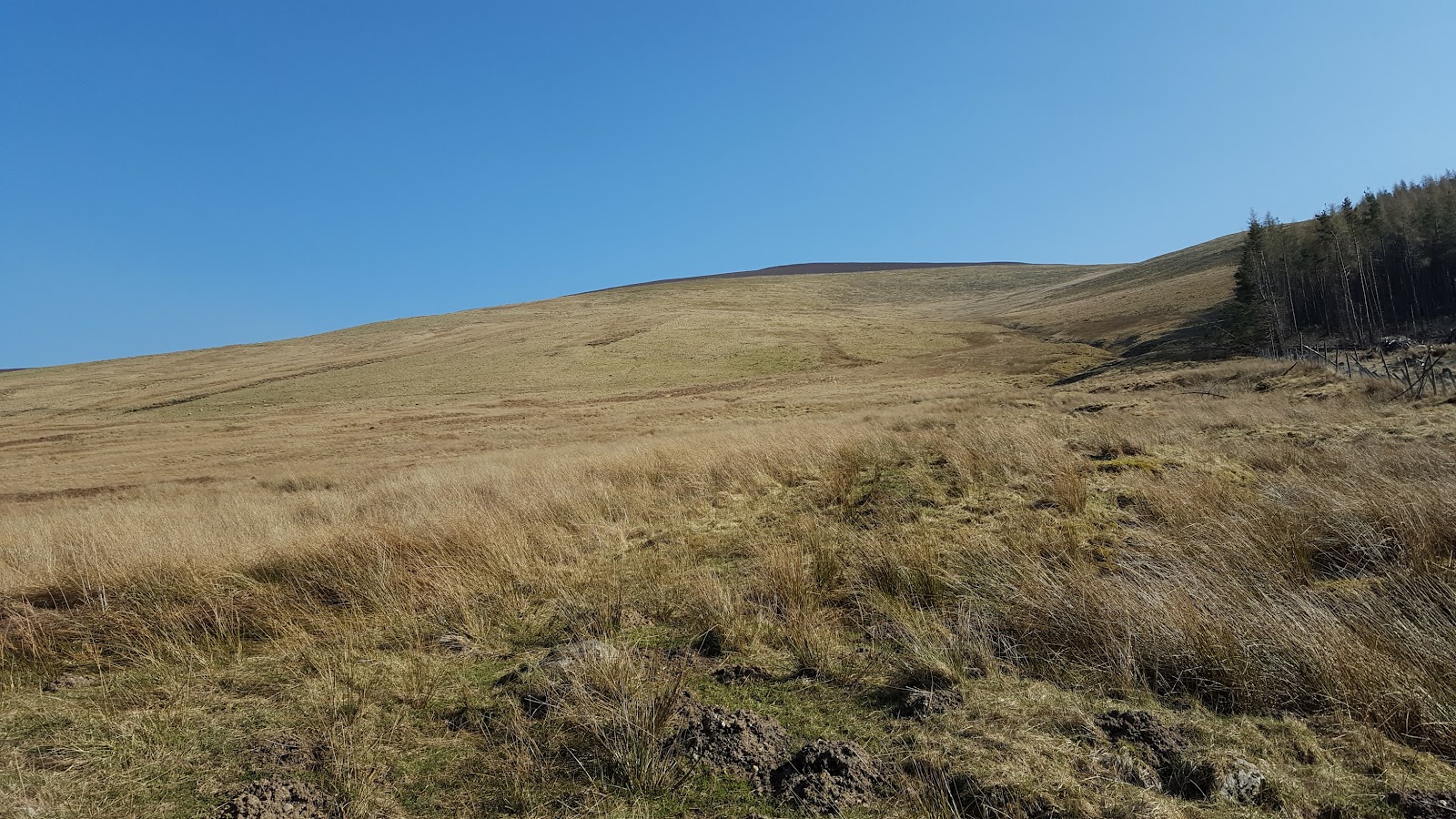 Neil's Hillwalking Exploits: Creag Choinnich (Braemar) and Mount Blair ...
