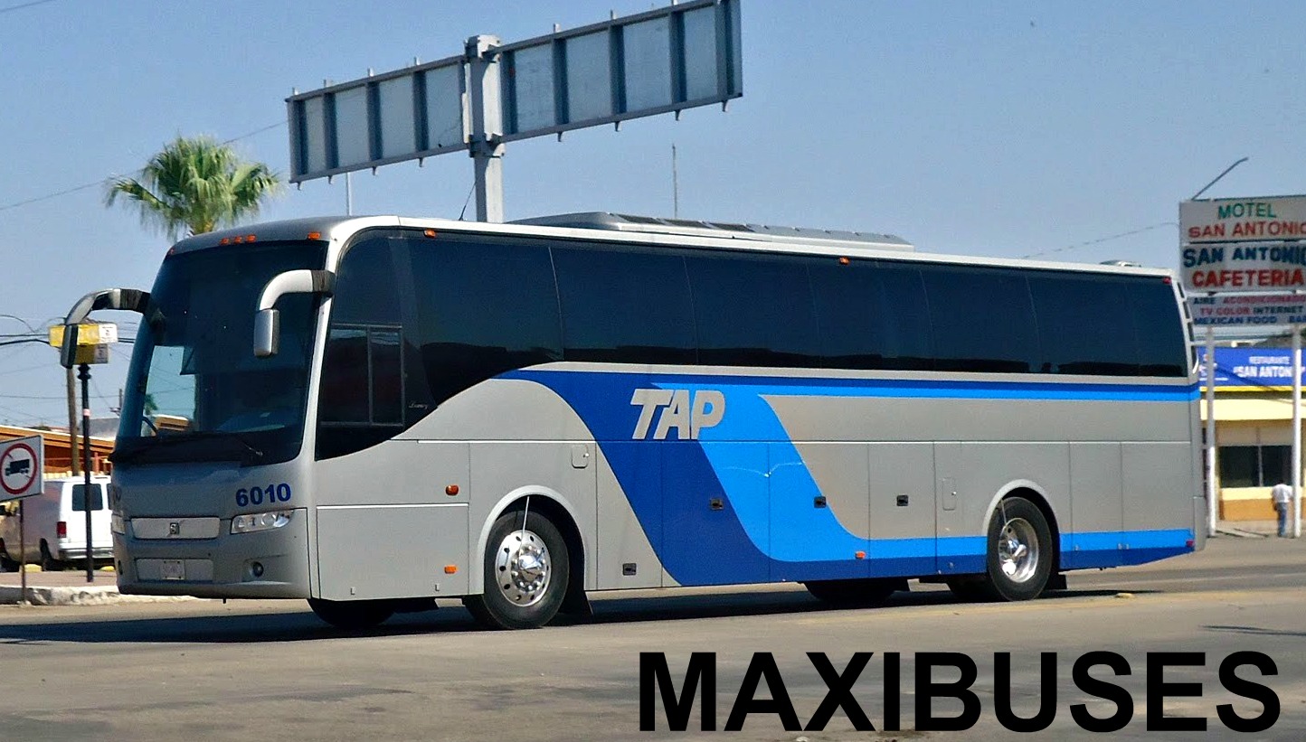 MAXIBUSES: TRANSPORTES Y AUTOBUSES DEL PACÍFICO (TAP)