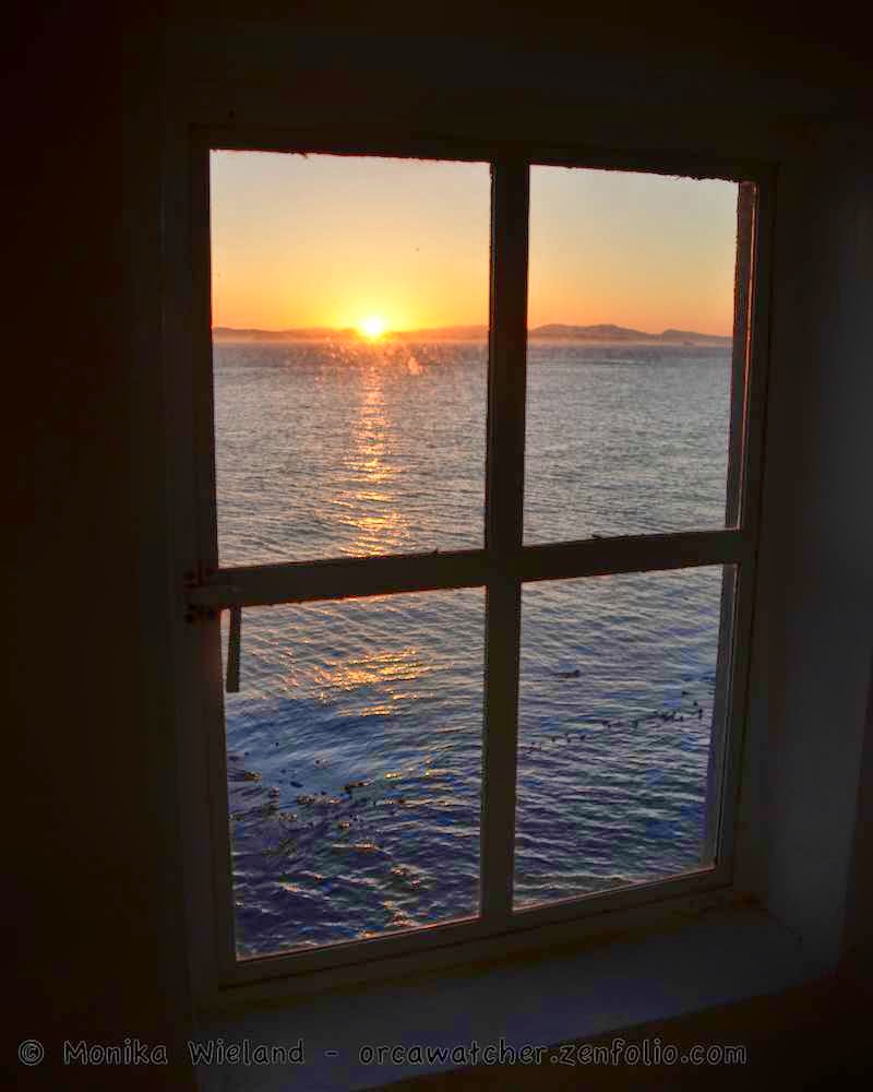 Orca Watcher: Westside Sunsets