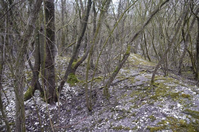 WW1 and WW2 Defences - Suffolk and beyond: Visit to Loos - Hohenzollern ...