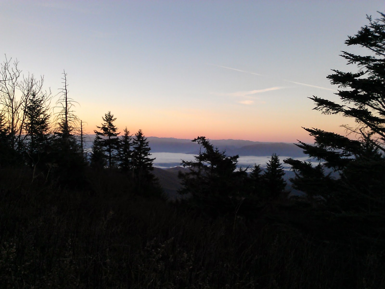Hikes: Clingmans Dome - AT - Welch Ridge - High Rocks - Bear Creek ...