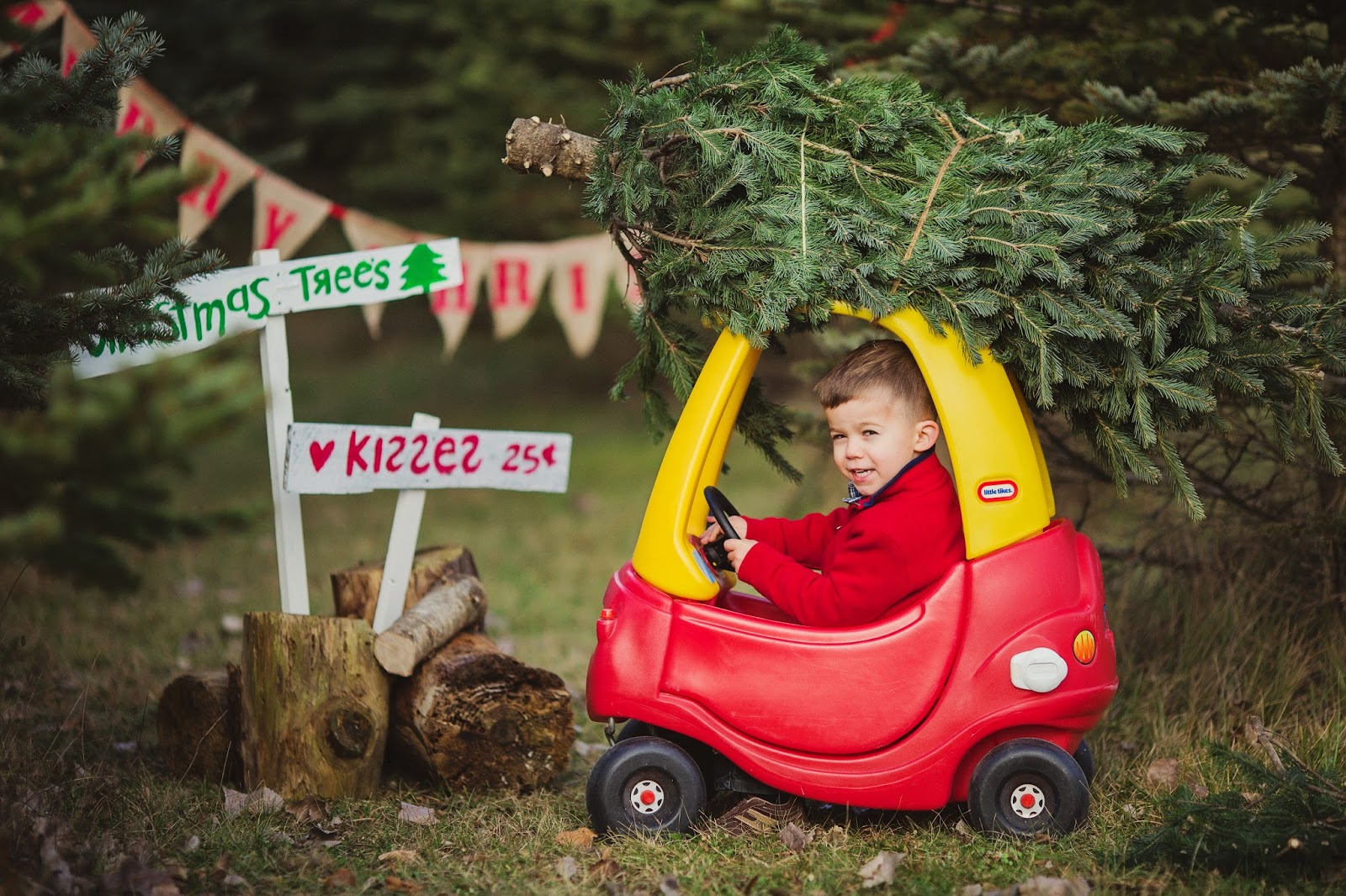 The Hopwood Happenings