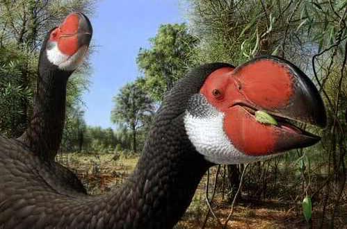 Birding Bros. Blog: 10 Prehistoric Birds You Didn’t Know Existed (But ...