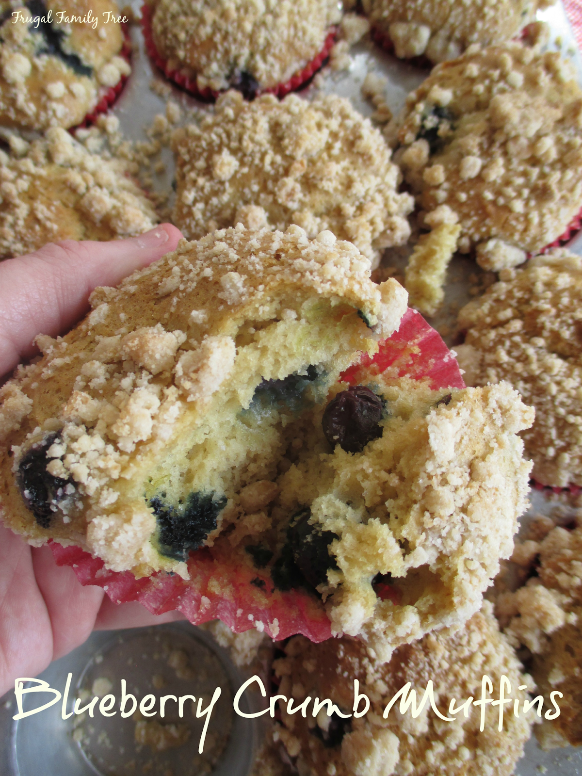Blueberry Crumb Muffins Recipe | Frugal Family Tree