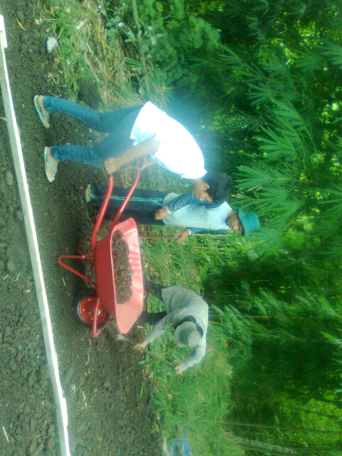 p2mtiga: Kegiatan Kerja Bakti di Desa Ciela Kecamatan Bayongbong ...