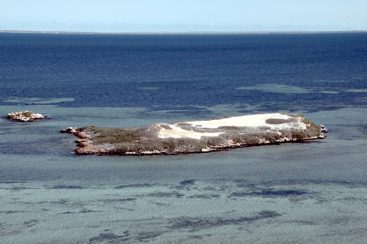 Bushranger: Shark Bay coastlines
