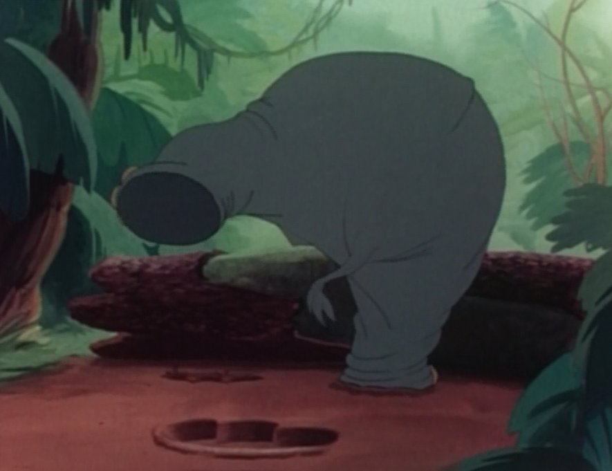 The Lost Continent: Animaland: The Lion