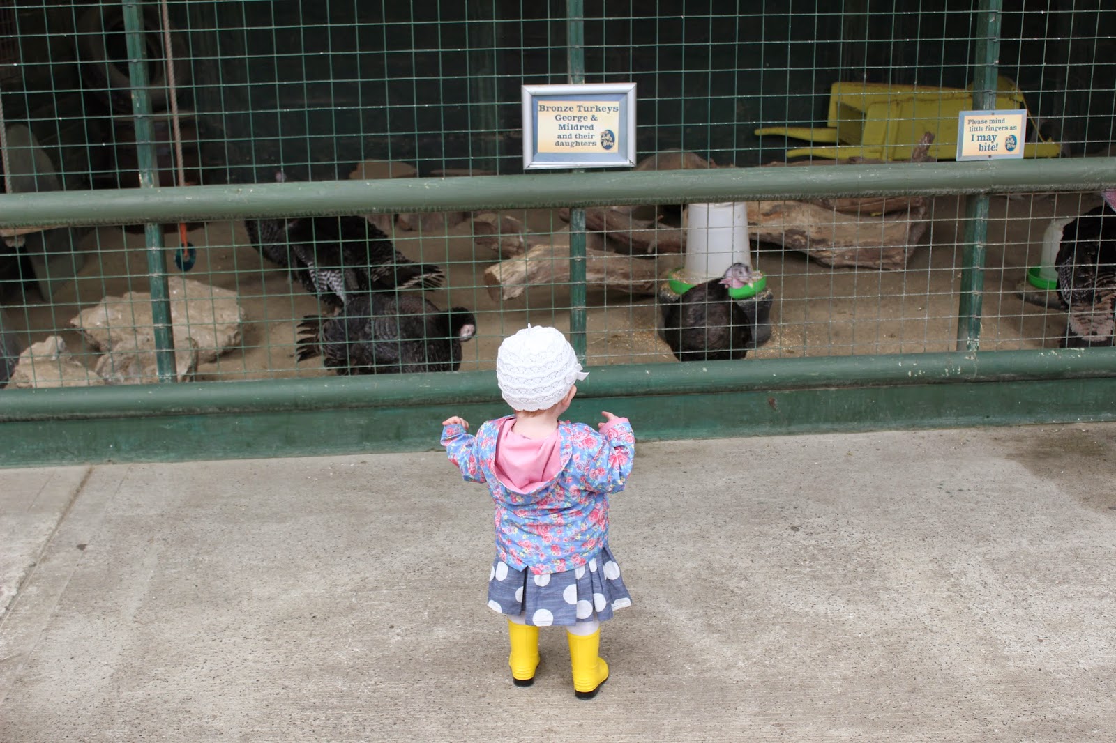 Folly Farm Adventure Park & Zoo | Review | Emily and Indiana