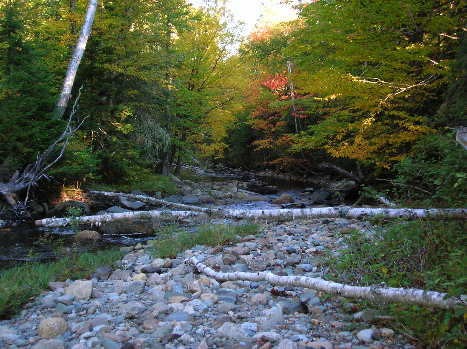 Small Stream Reflections: Maine 2012, Part Two