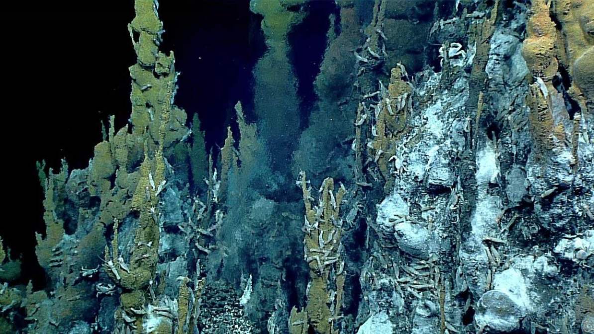 Deepest High-temperature Hydrothermal Vents Discovered in Pacific Ocean ...