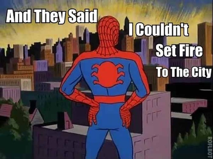Spider-Man Meme (26 pics)