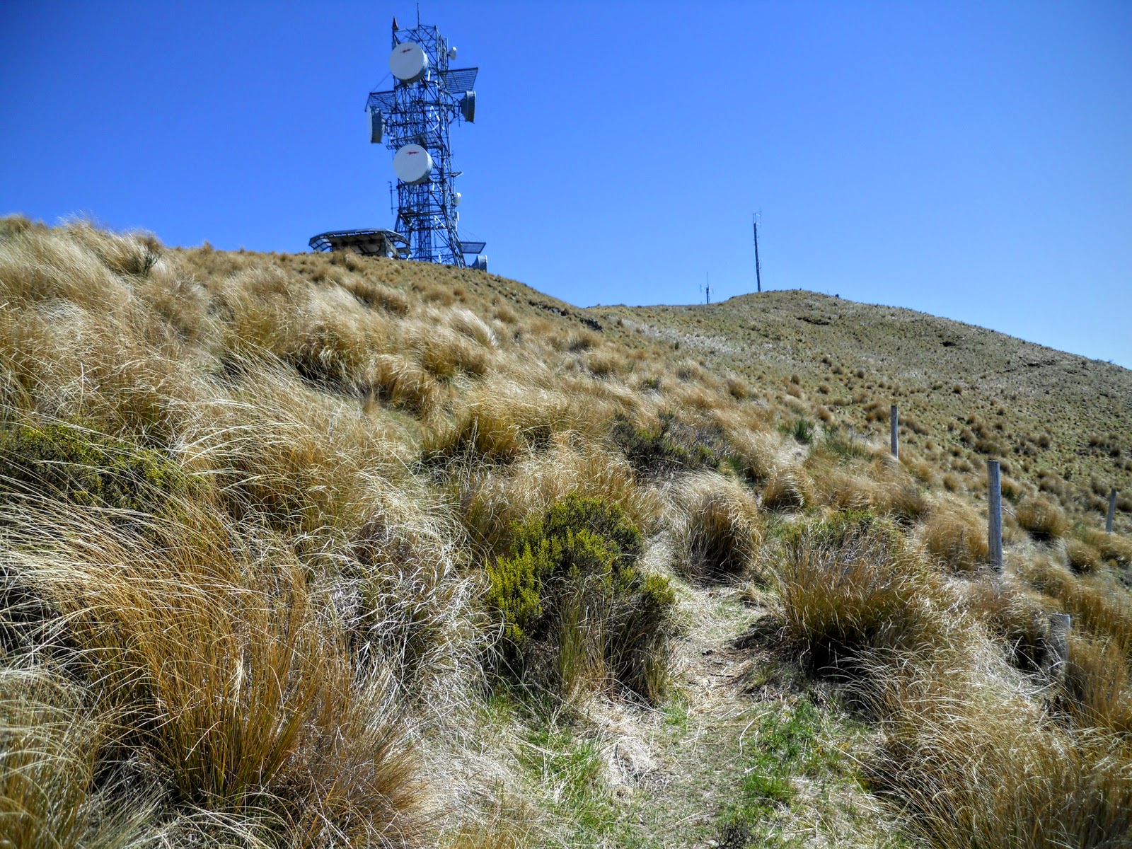 Tramping in the New Zealand backcountry: NZ Bush Adventures: Mt Grey ...