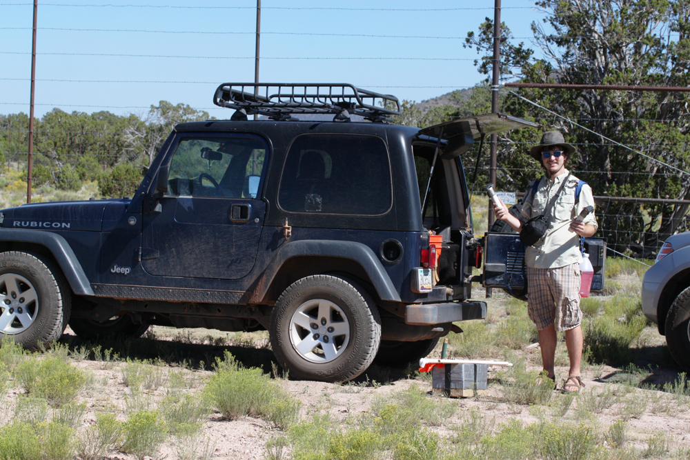 Arizona: Beetles, Bugs, Birds and more: Bug Safari 2015 - Northern Arizona
