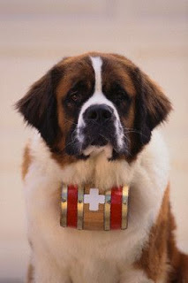 Rase de caini: Despre caini