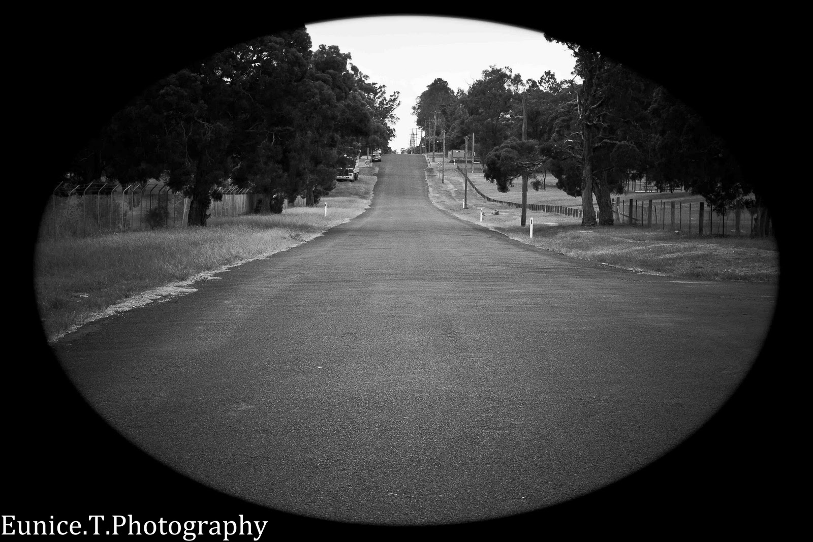 eunice.t.photography: spooky country road trip