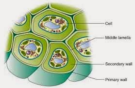 PENGERTIAN SEL - E-JURNAL