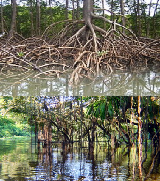 NephiCode: September 2014