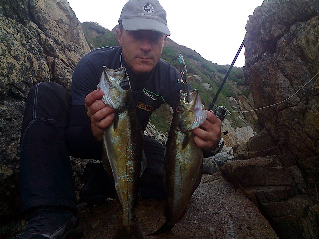 solorobalizas: VIDEO: Abadejos o zarretas con MOMMOTTI 180