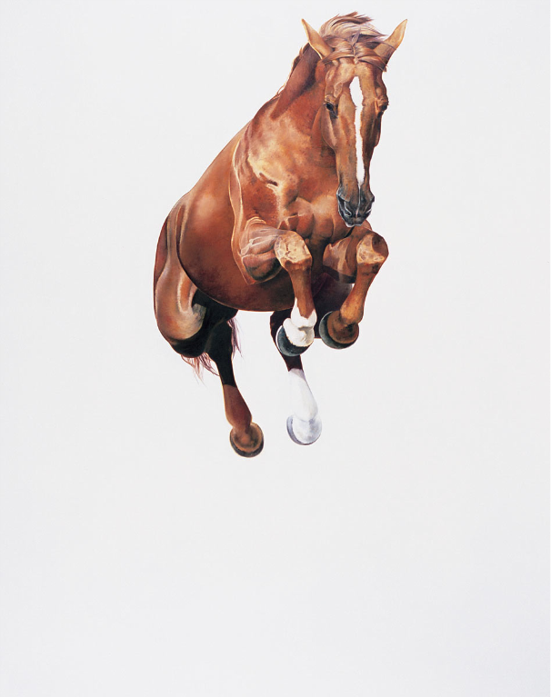 Art of Amy Hood: Michael Zavros, Centaurs, & Zebra Rugs