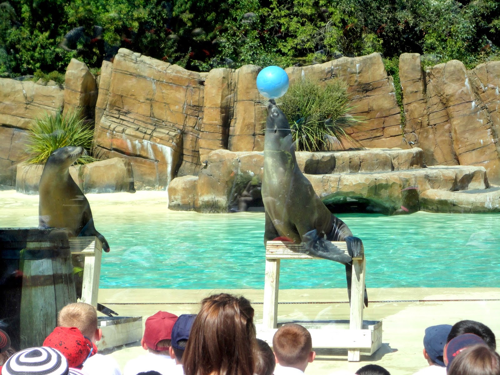 JESSICAWARD: Blackpool Zoo!