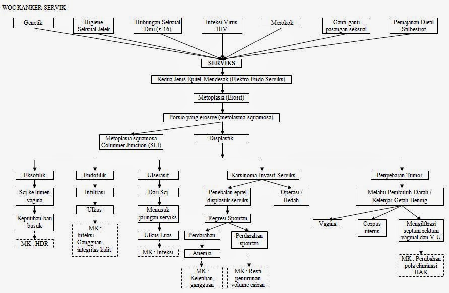 Pathway kanker serviks | kumpulan SAP dan Leaflet