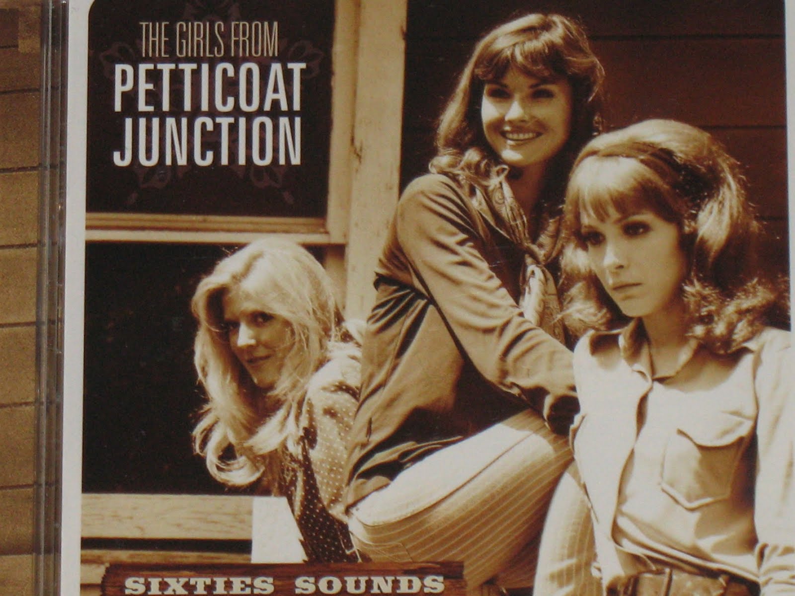 THE BOOKSTEVE CHANNEL: The Girls of Petticoat Junction