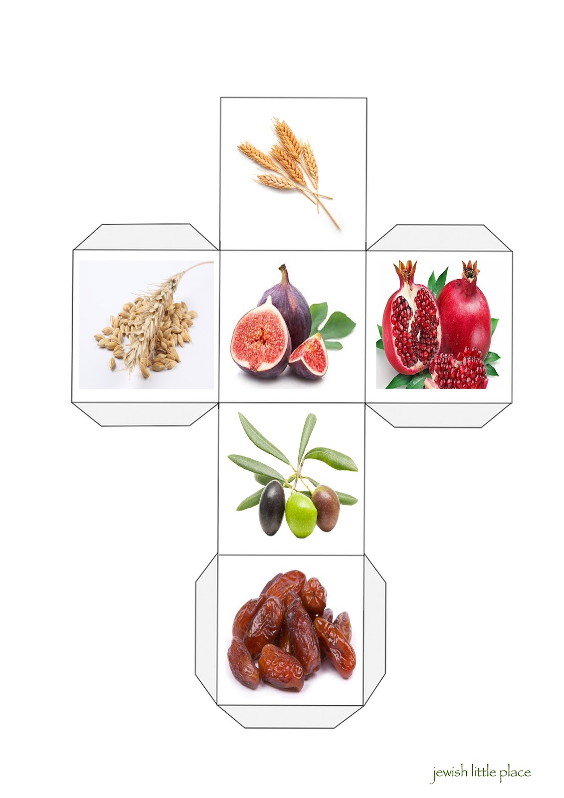 our Jewish little place: Tu b'Shevat shivat haminim paper box