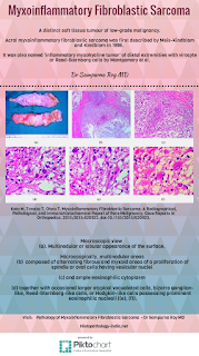Pathology Infographics : Pathology of Myxoinflammatory Fibroblastic ...