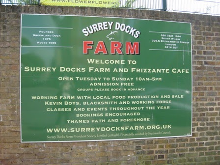 Heavenly Healer Glamorous Gardener: Surrey Docks Farm