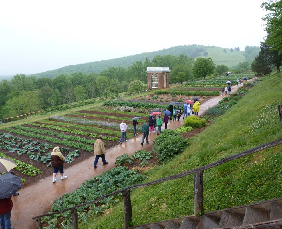 The Enchanted Tree: Monticello Field Trip