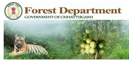 Chhattisgarh (CG) Forest Guards Previous Question Papers