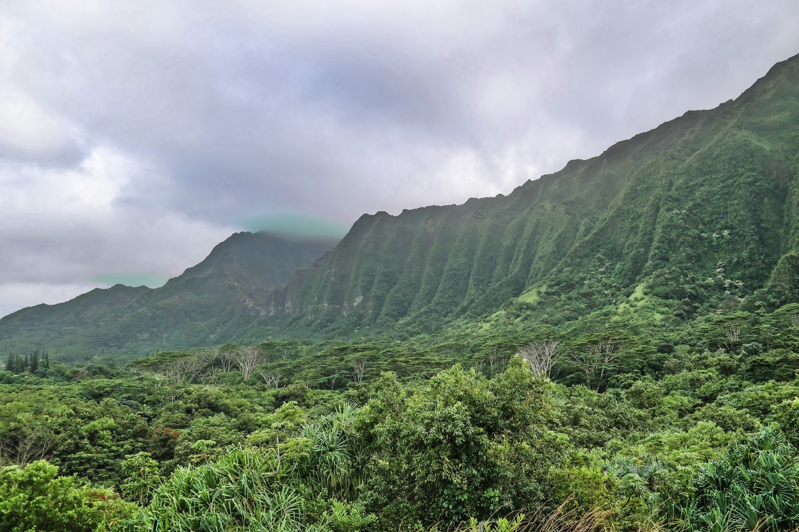 What to do in Hawaii and our stay at Airbnb experience