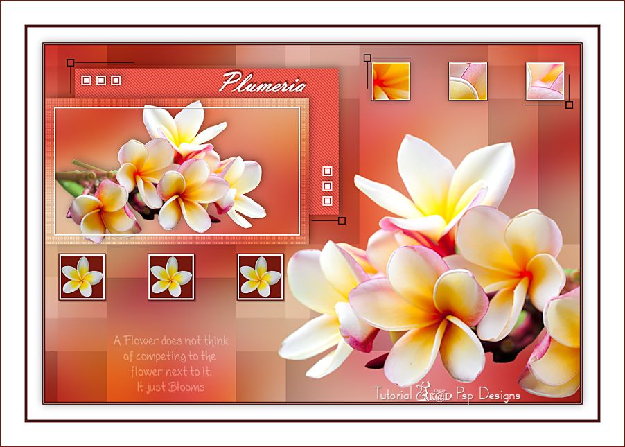 KaD's Psp Designs Tubes: Tutorials 2016