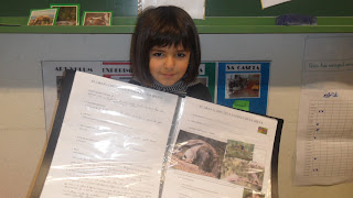 CLASSE DE LA SELVA: L'ÓS FORMIGUER