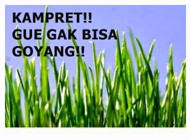KONTROVERSIAL "TANYAKAN PADA RUMPUT YANG BERGOYANG"