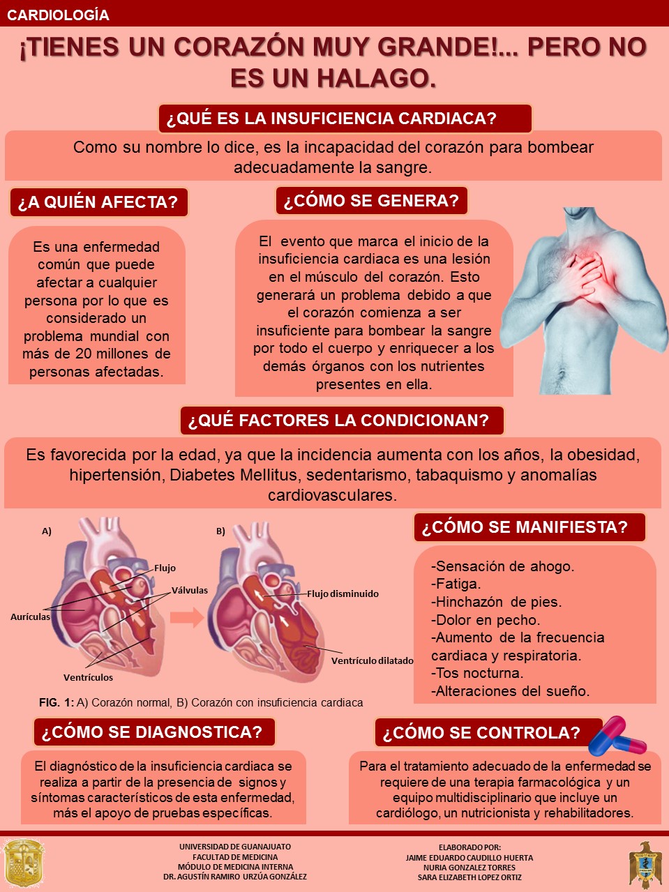 DIVULGACIÓN CIENTÍFICA UG: ¡Tienes un corazón muy grande!.. Pero no es ...
