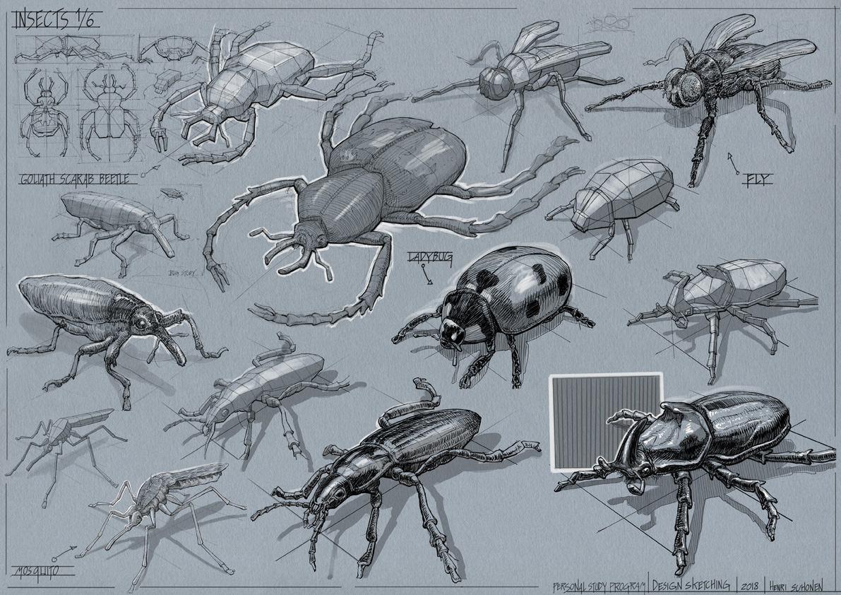 H.H.E.S.: Design Sketching: Insects