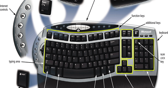 Input&Output Device: Keyboard
