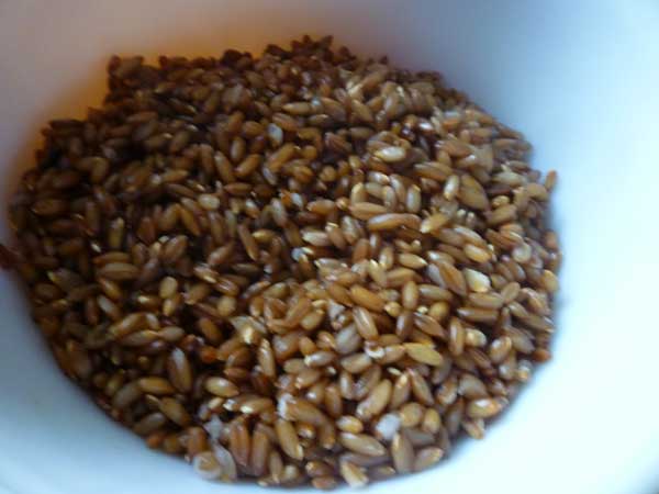 exorphin junkie: Reinhart's Multigrain Hearth Bread from WGB