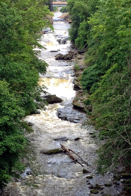 Daily Life - Bits & Pieces: Ohio Trip & Scavenger Hunt Finds