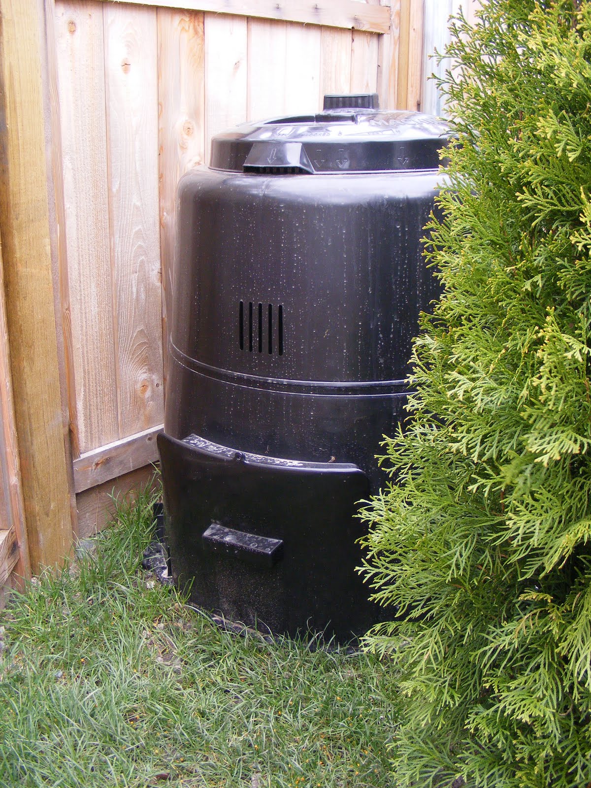 Compost bin???? What Compost bin??