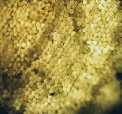 FIBRAS SINTÉTICAS Y ESPECIALES : ARAMIDA