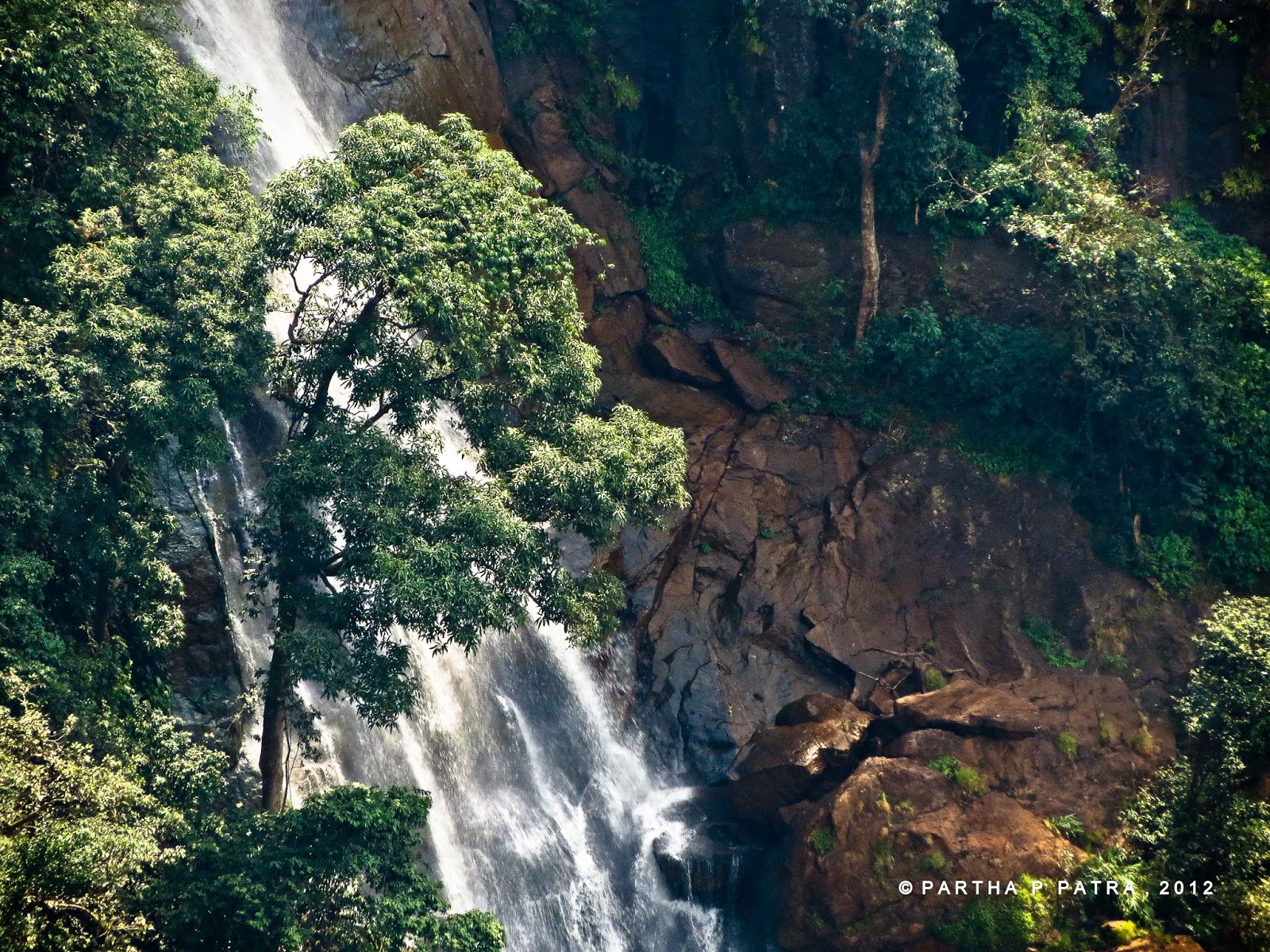 THE DISCRETE DIARY : Re-Discovering Koraput : Day-4