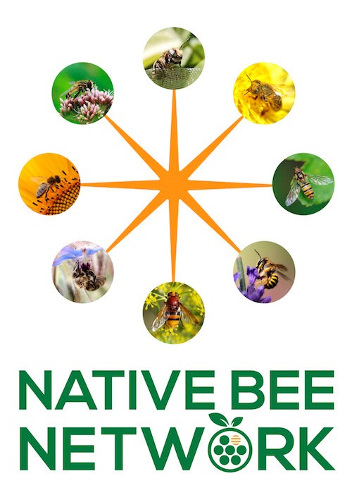 Planting Pride with America in Bloom